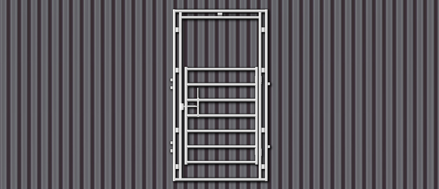 P300 Walk Through Gates